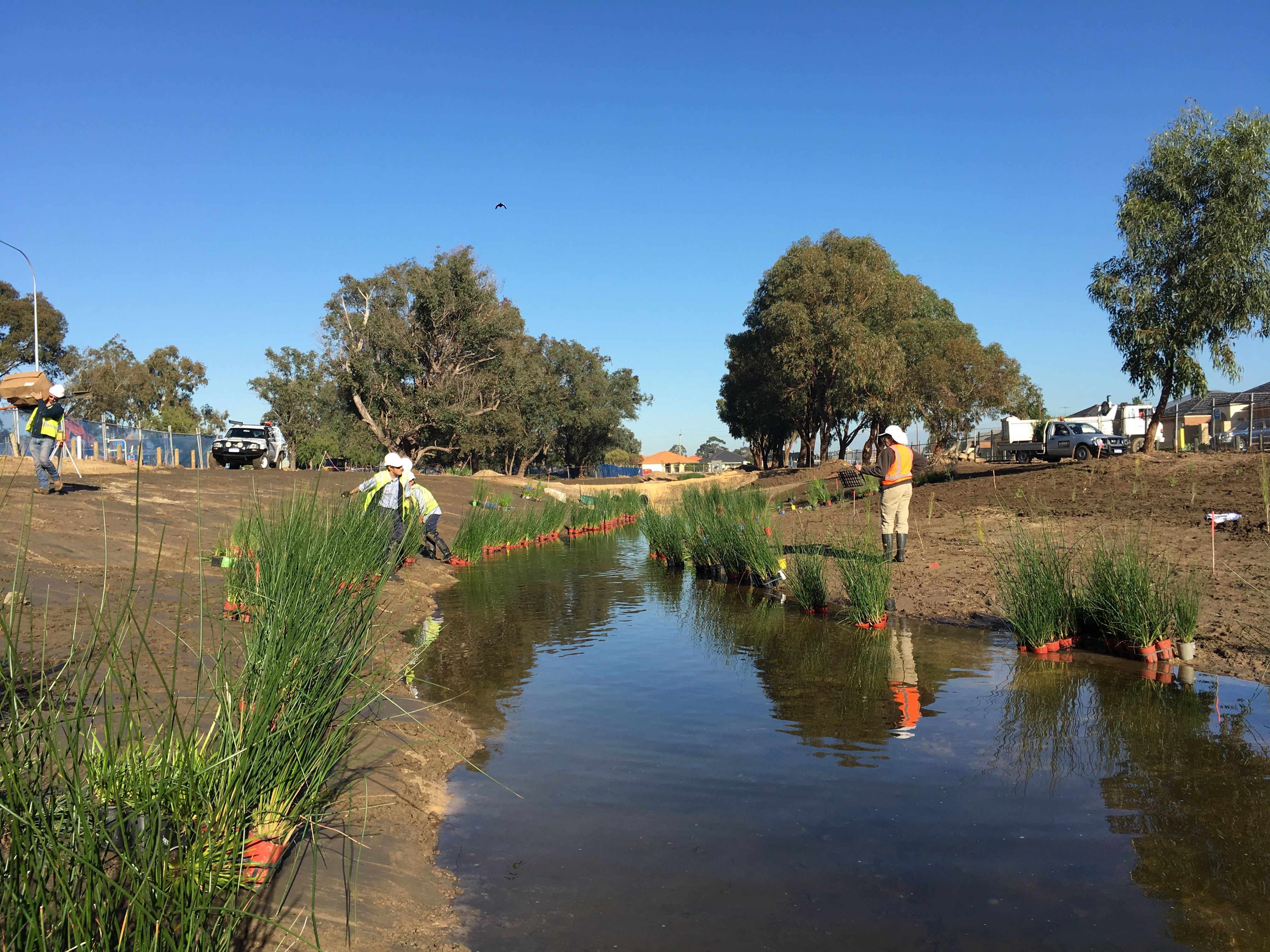 Woodlupine – Stage 2 Living Stream Project | Syrinx – Nature-based ...