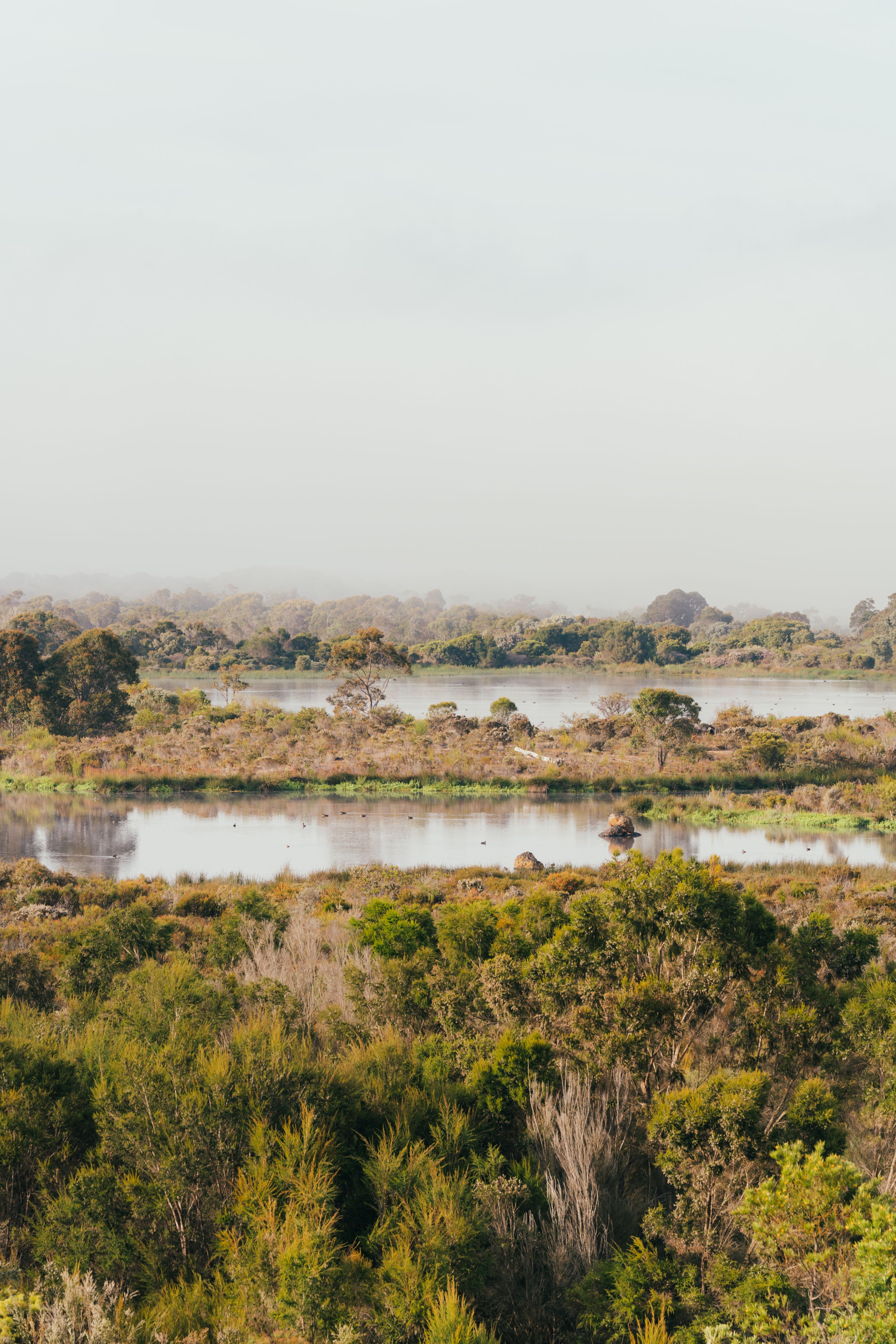Beenup site pilot case study a first for natural capital accounting in ...